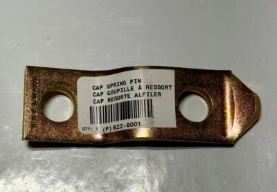 B22-6001 Genuine Paccar Cab Spring Pin OEM - New | eBay