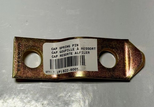 B22-6001 Genuine Paccar Cab Spring Pin OEM - New | eBay