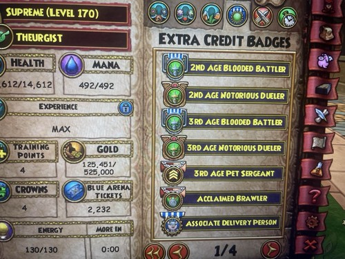 Cheap Wizard 101 US Account BALANCE and LIFE MAX LEVEL 170 multiple ...