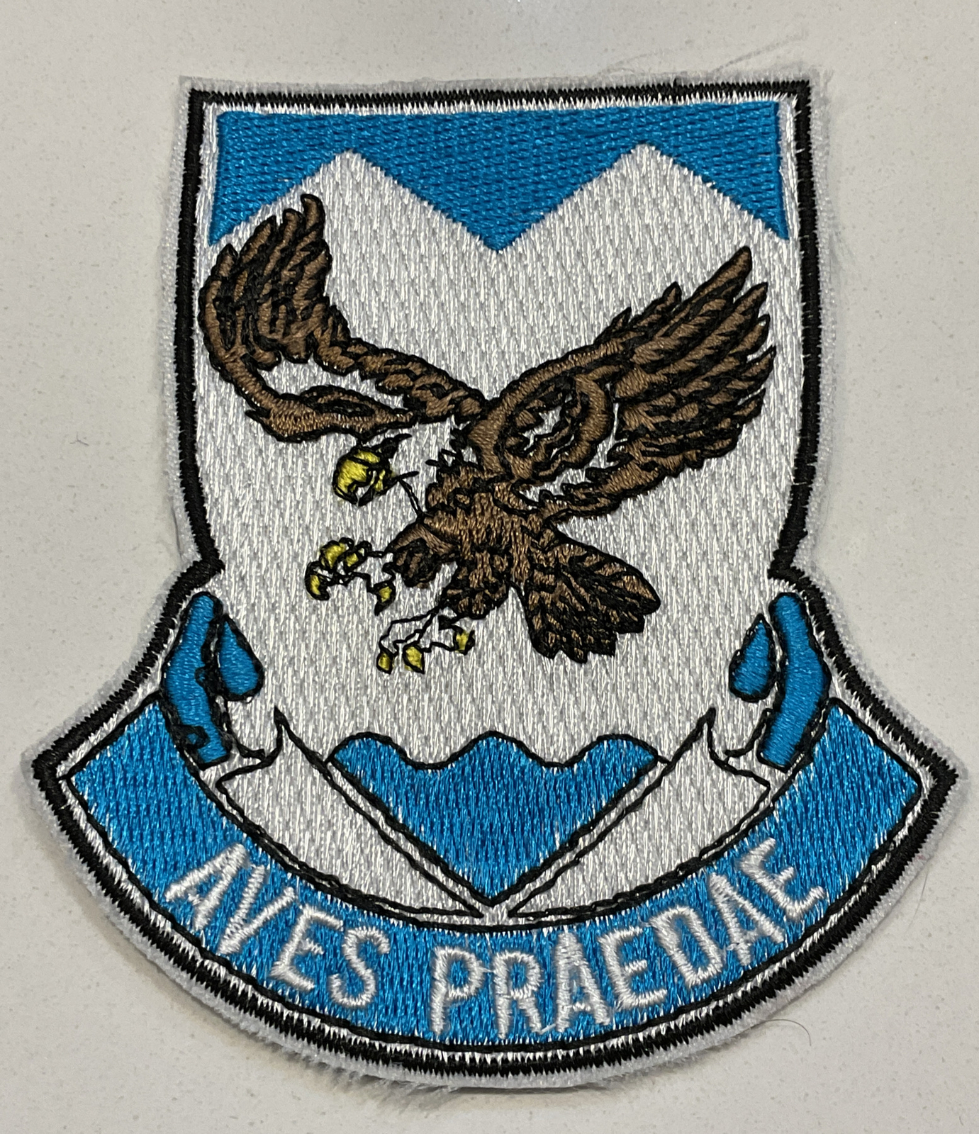 882nd Airborne Engineer Battalion Aves Praedae Pocket Cut Edges Patch ...