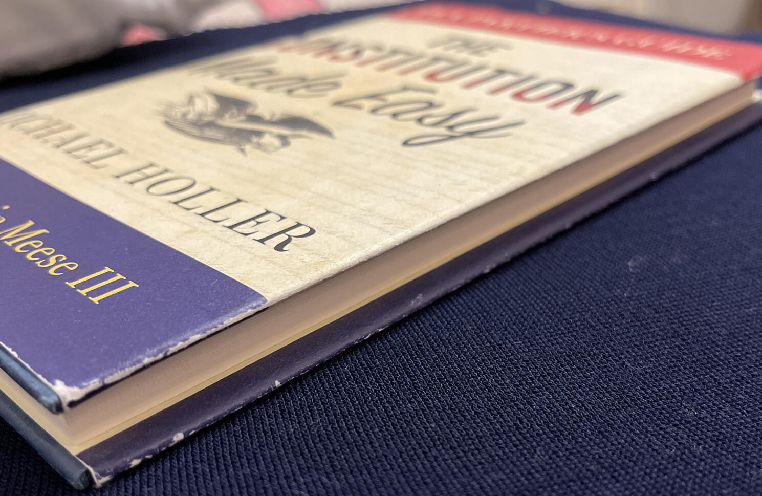 Constitution Made Easy : A Tea Partier's Guide by Michael Holler (2012 ...