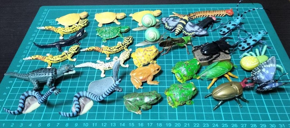 Insects Reptiles Amphibian Figure SetChocolate Eggs Etc. Kaiyodo Insect ...
