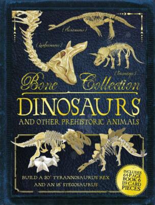 Bone Collection Dinosaurs Prehistoric Book Kit Build Skeletons T Rex ...