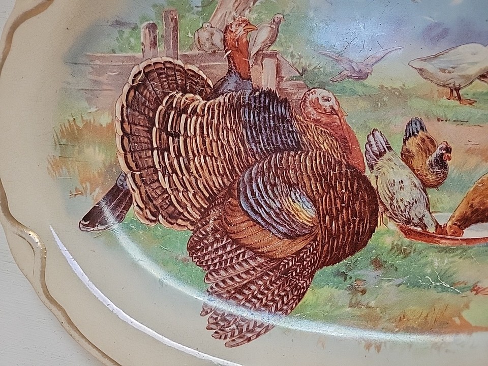Vintage Dresden China Platter Turkey Chickens Ducks | eBay