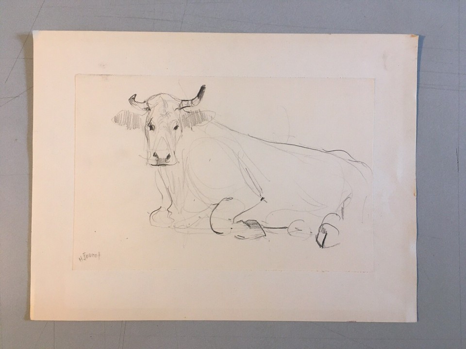 Very beautiful lead pencil drawing Animal Cow Nature Early XX Henriette ...