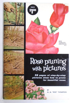 1960's Rose pruning with pictures by M.M. "Doc" Thompson - 1960 | eBay