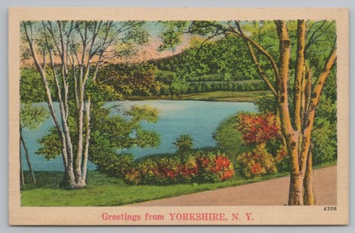 Yorkshire NY~Scenic Lake Greetings~Birch Trees~Flowers By Walking Path ...