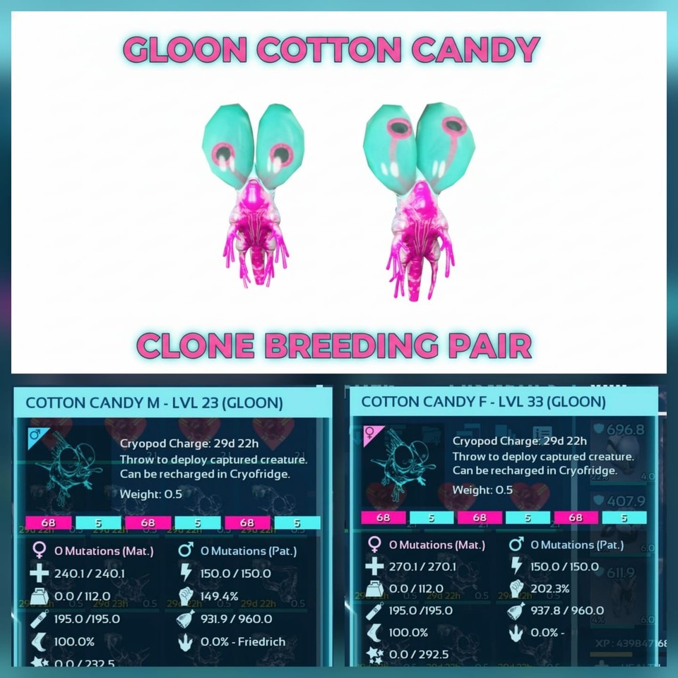 Gloon Clone Breeding Pair [Lost Colony] Ark ascended Pve Official PC/XBOX/PS5 | eBay