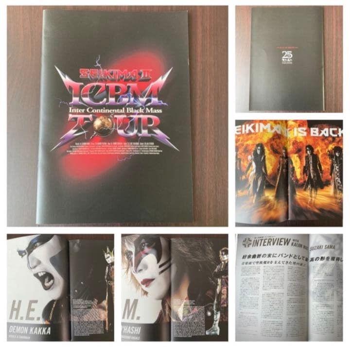 Holy Hunger Demon II 25th ICBM Tour Brochure Set of 2 | eBay