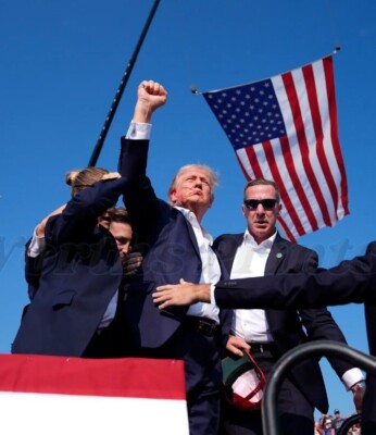 Donald Trump Patriotic Fist-Pump High-Res Prints Various | eBay