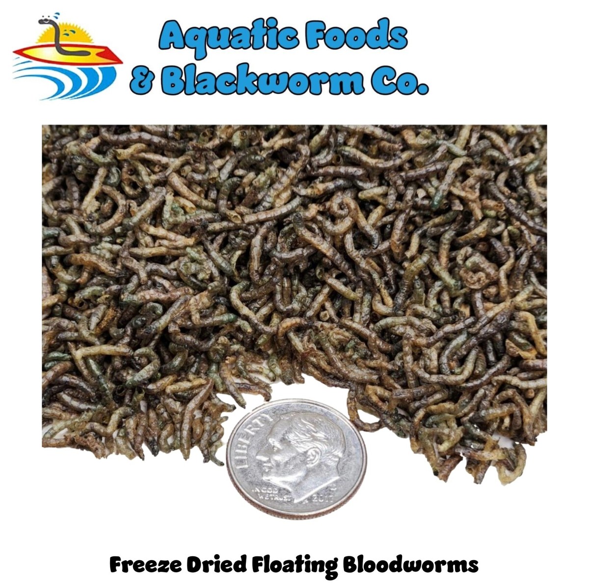 Bloodworms