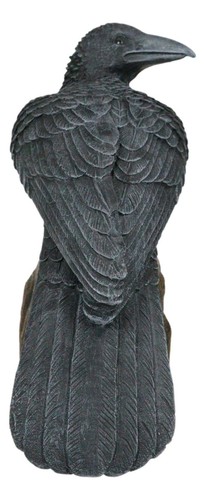8 Inch Dark Raven on Large Rock Platform Resin Statue Figurine | eBay