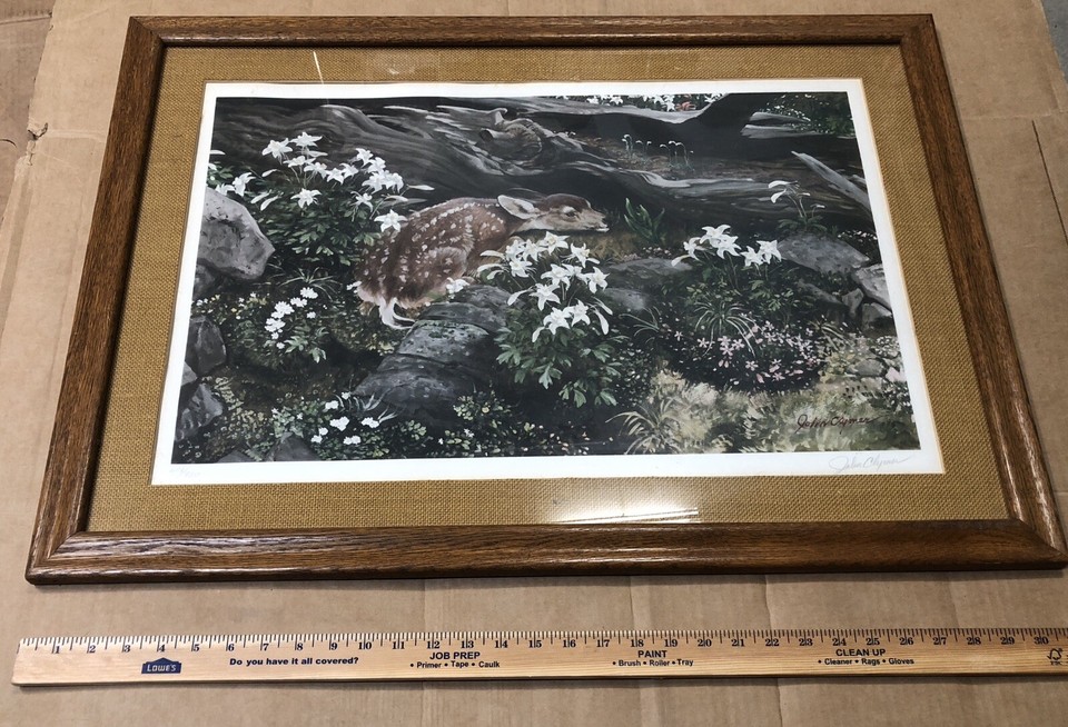 RARE John Ford Clymer Limited Edition Signed Framed Print HIDING PLACE Deer Fawn | eBay