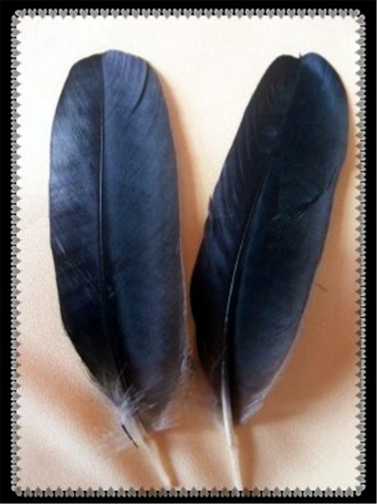 Rook Wing Quill Feathers -Eurasian - Natural Black - 2 Pc. - 5-7" - | eBay