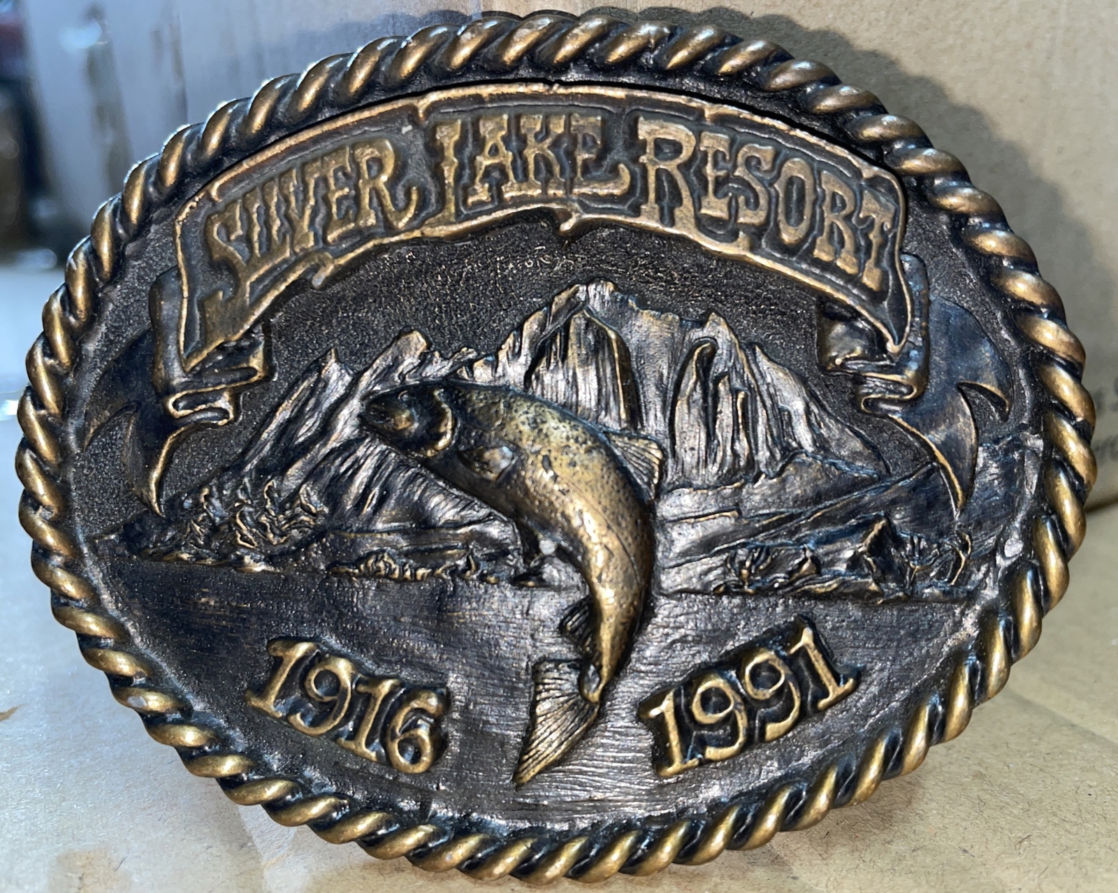 1991 Vintage Silver Lake Resort California Limited Ed… - Gem