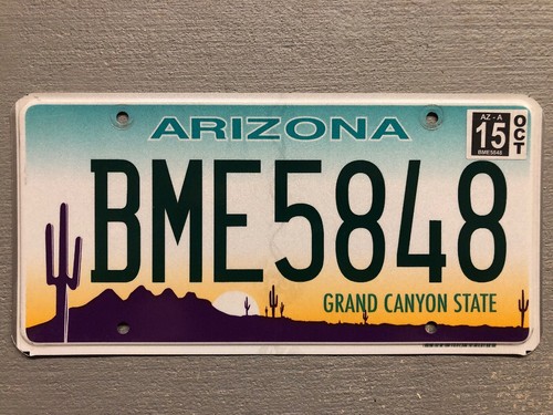 ARIZONA LICENSE PLATE GRAND CANYON STATE DESERT SCENE 🌵 RANDOM LETTERS ...