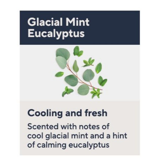 Beekman 1802 Goat Milk Bar Soap Glacial Mint and Eucalyptus Jumbo 9 oz x 2 NEW | eBay