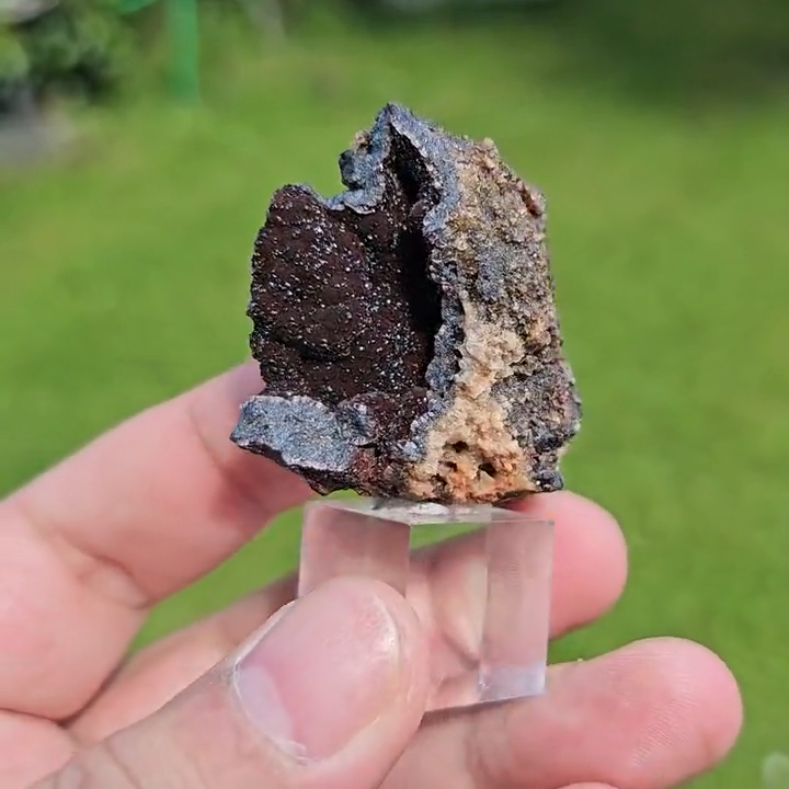 Goethite 56 Grammi - Mont-Roc Mine, Mont-Roc, Castres, Tarn, Occitania ...