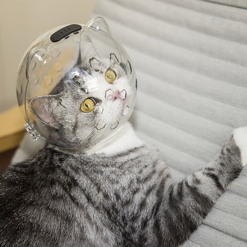Muzzle Mask Space Hood Cat Head Cover Anti-bite Kitten Protective ...
