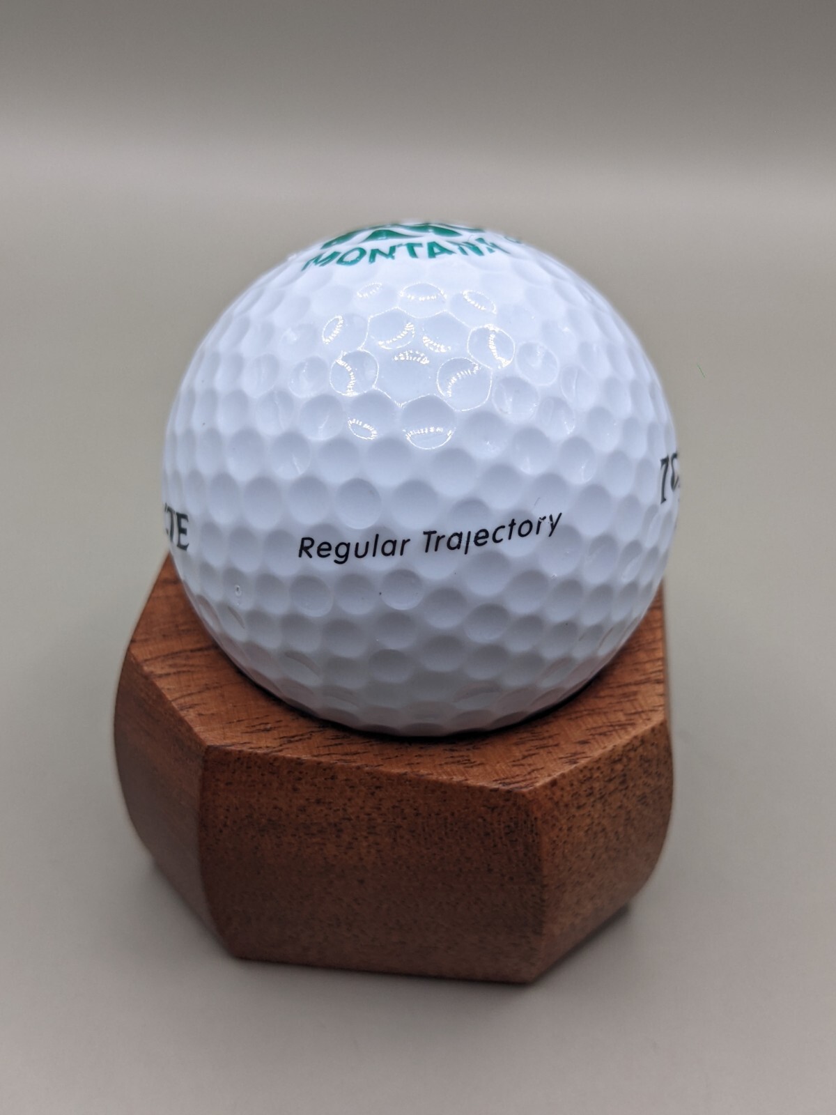 Fairmont Hot Springs Logo Golf Ball Top Flite Collectible Ball Montana ...