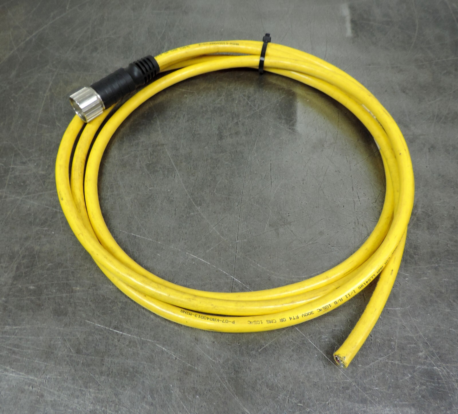 Turck CKM 19-19-10 One Connector Cordset Cable U4704-10 | eBay