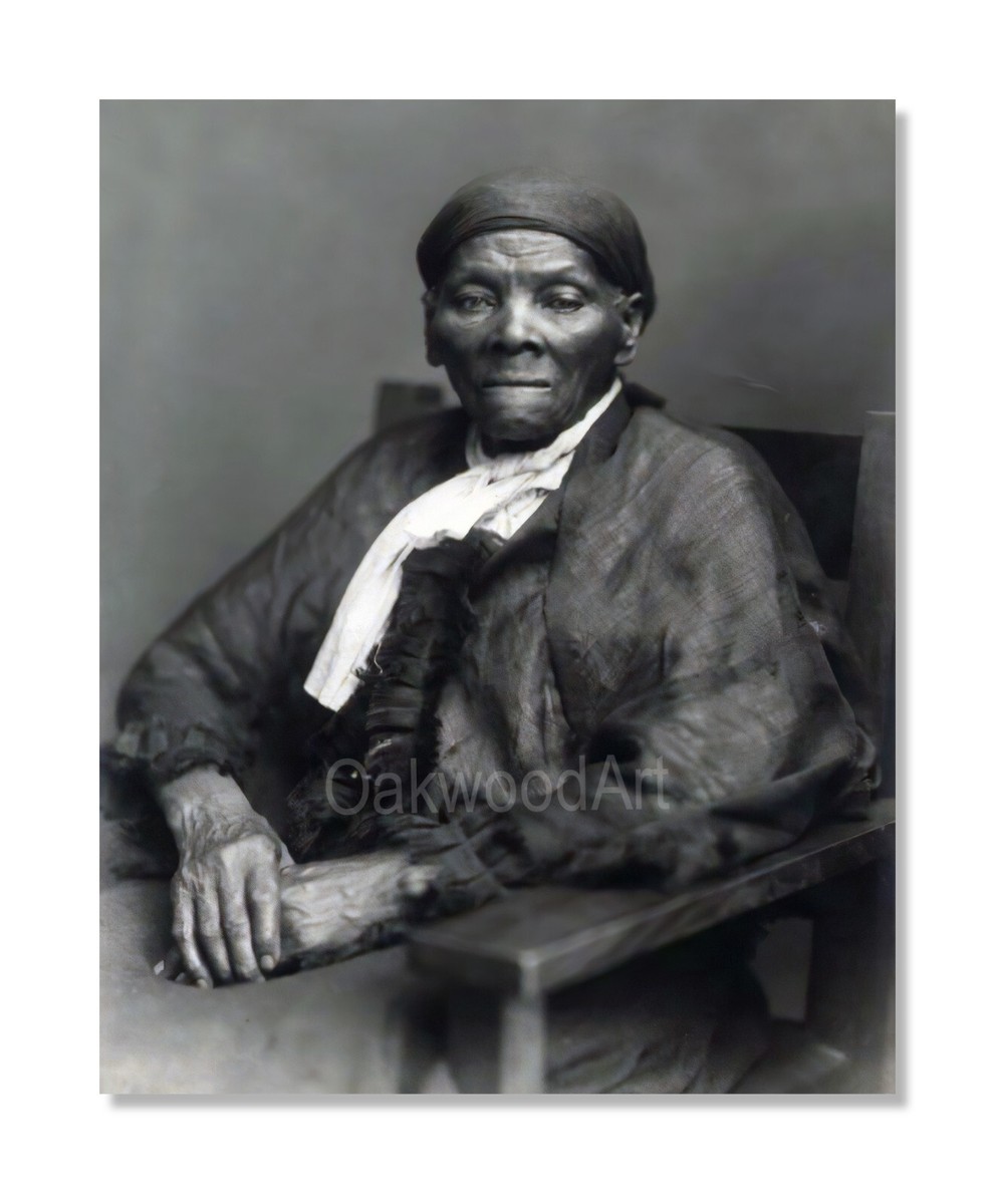 Harriet Tubman Portrait Unveiling The Unvarnished Legacy Of Harriet