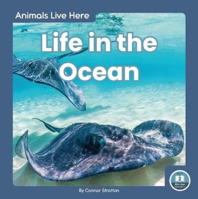 Connor Stratton Life in the Ocean (Paperback) Animals Live Here (UK ...
