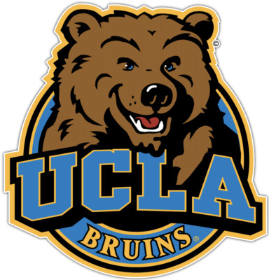 Car Magnet - UCLA Bruins- NCAA College Football - MAGNET | eBay
