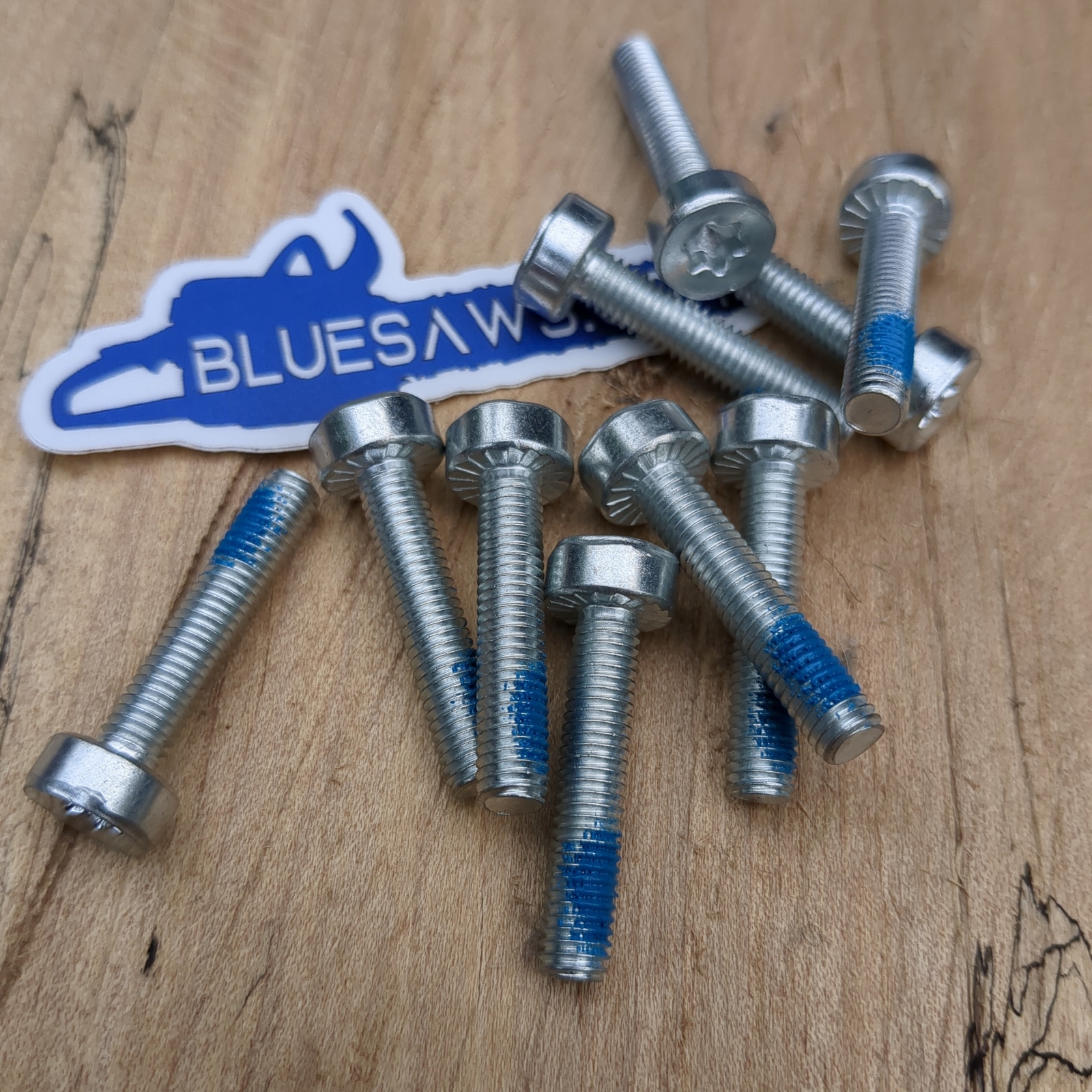 Bluesaws Spline Screw bulk pack of 10(ten) T27- M5 x 25mm for Stihl OEM ...