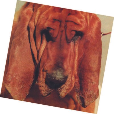 Ty Segall Goodbye Bread NEW CD 781484047926 | eBay