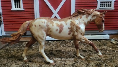 Breyer Custom Etched " Breyerfest 2024 celebration horse" on the Dundee ...