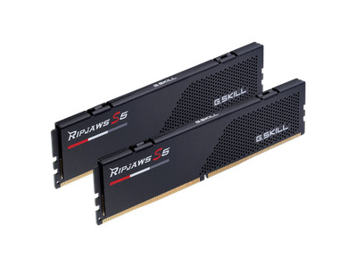 G.SKILL Ripjaws S5 Series 32GB (2 x 16GB) 288-Pin PC RAM DDR5 6800 (PC5 ...