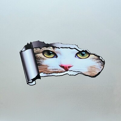 Cute Cat Kitten Face Ripped Metal Slash Vinyl Sticker Decal For Car Van ...
