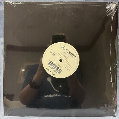 Ashley Warren “How Do I Live Without You” SEALED 1998 German 12" Maxi ...