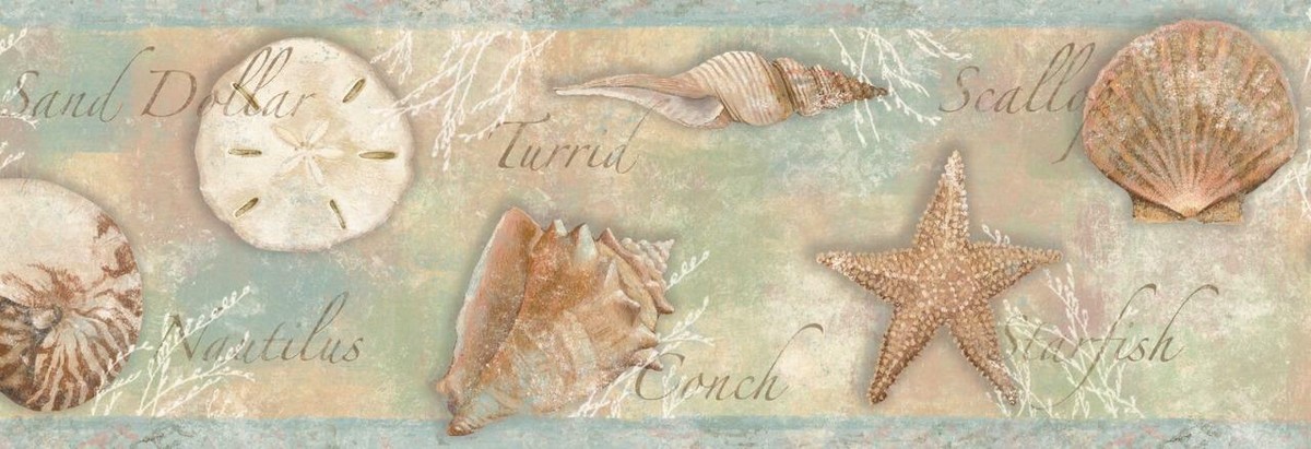 Starfish Wallpaper Border Pic Starfish Border Stock Illustrations