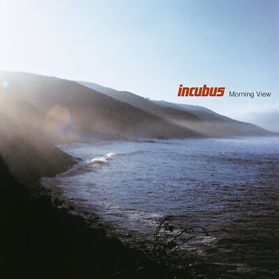 Incubus Morning View 12"x12" Album Cover Replica Poster Gloss Print | eBay