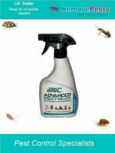 Carpet Beetle Poison killer spray expert pest control treatment AGRO ...