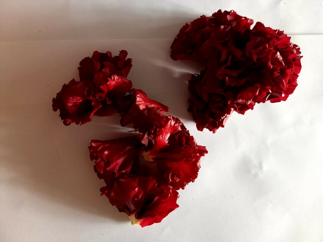 100g CEYLON DRIED HIBISCUS WHOLE FLOWER POKURU WADA PREMIUM ROSE TEA ...