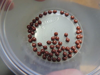 30 Medium 1/8" BROWN Plastic Mono Eyes for Fly Tying | eBay