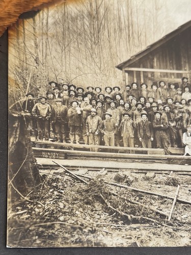 Original Large Scale Darius Kinsey Photo W. WA Logging Camp c. 1905 | eBay