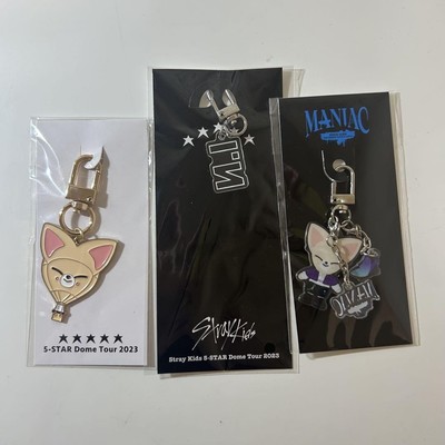 stray kids skz StrayKids ien keychain | eBay