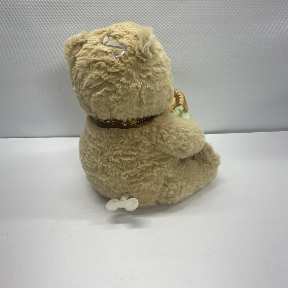 DISNEY BABY Winnie the Pooh Plush Music Motion Wind Up NWT Honey Pot | eBay