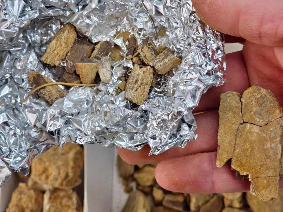 Morrison Formation Dinosaur Bone Fossil Prep Projects - Selfdug Big ...