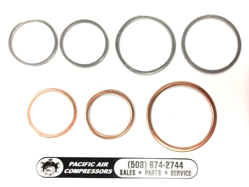 CHAMPION R15A & R10C PUMP VALVE REPAIR KIT FOR Z102 VALVES | eBay