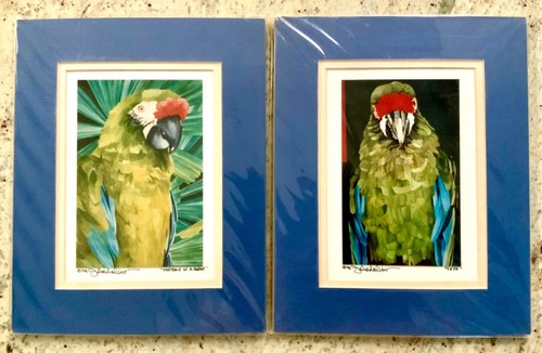 Bird Prints Tropical Colorful Matt Framed Art Decor 2 Pictures Parrot ...