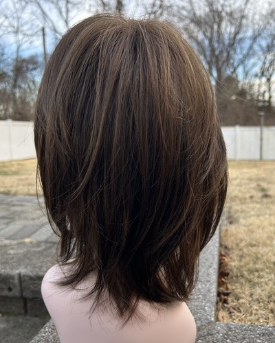 Hairdo Tru2life Wig , Chestnut/light Brown R10 Wig New | eBay