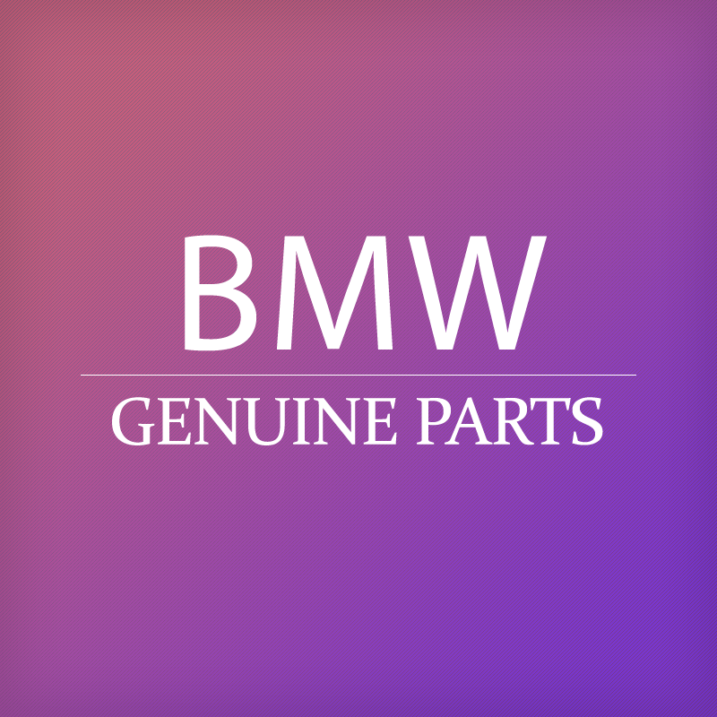 BMW X3 G01 Front Left Brake Air Duct 51747400003 Genuine for sale ...