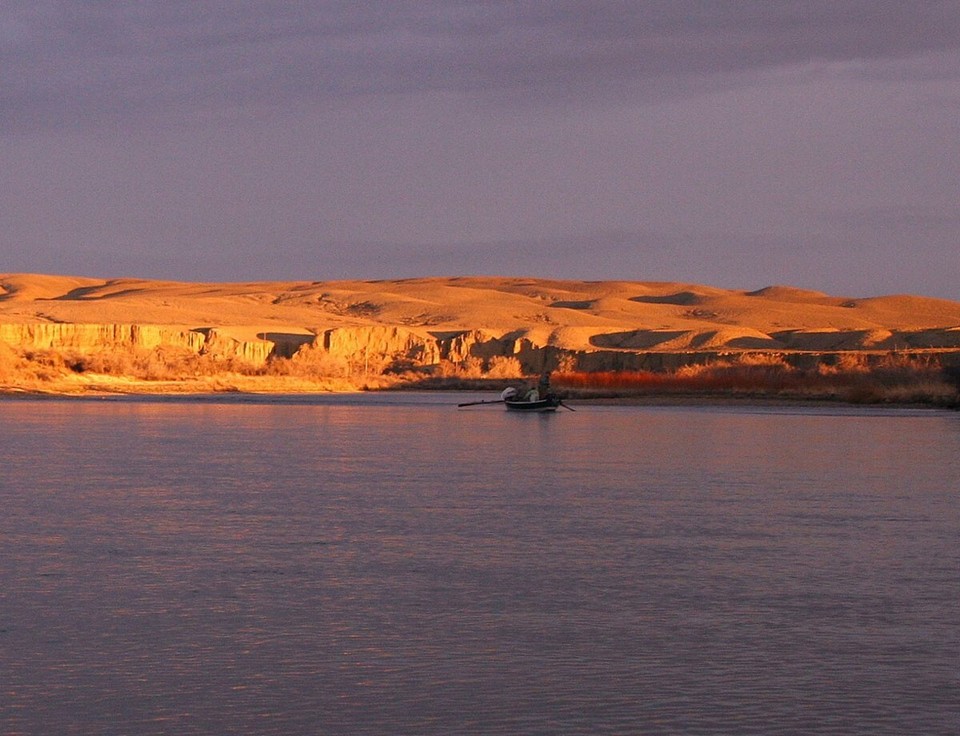 Primrose And Pearl Tungsten Nymphs - Premium Trout Fly Fishing Flies | eBay