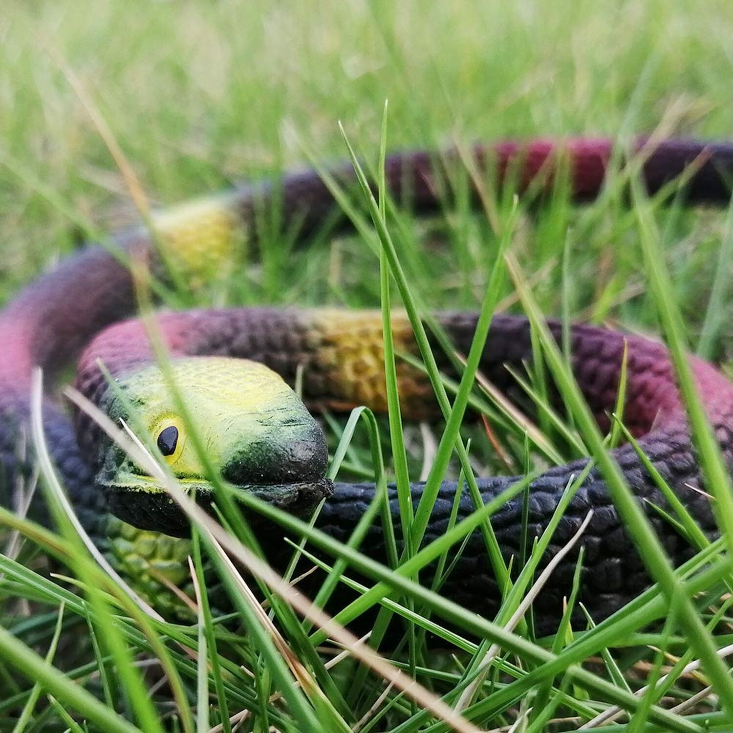 Lechay Rubber Snakes to Keep Birds Away,4 Pieces 29 Inch Realistic ...