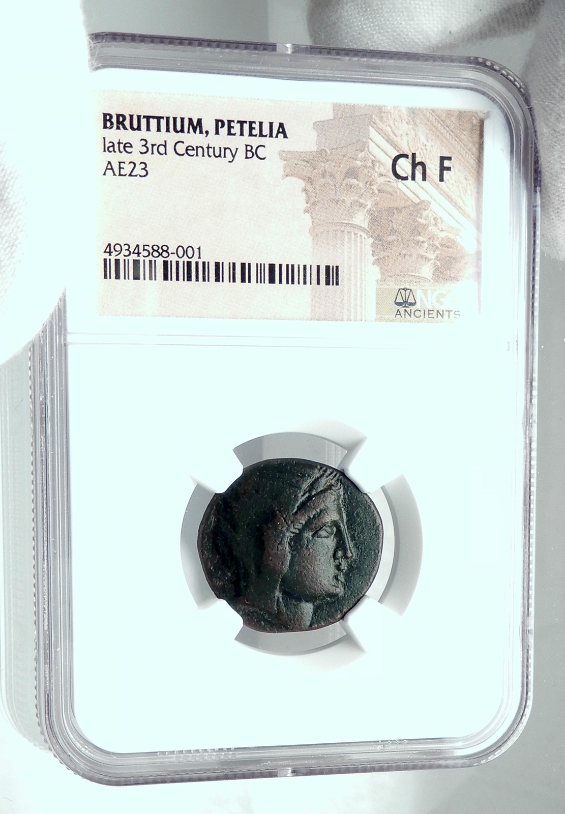 PETELIA in BRUTTIUM a Roman Ally in 2nd Punic War Ancient Greek Coin ...